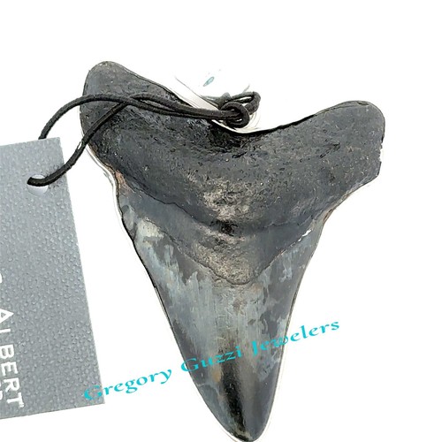 Sterling Silver Fossil Shark Tooth Pendant(Charles Albert)-1 7/8 x 2.5 ...