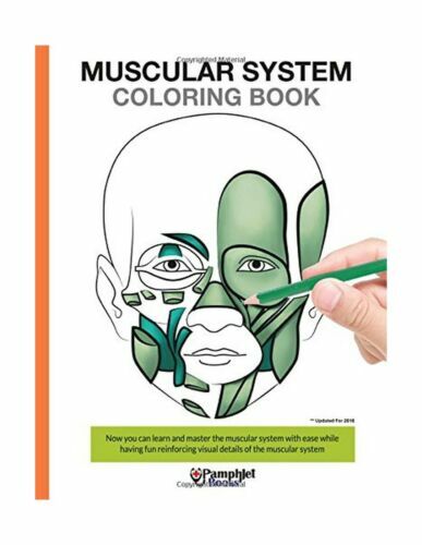 Muscular System Coloring Book: Now you can learn and master the... Free ...