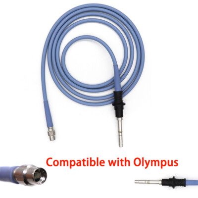 Endoscopes - Endoscope Light Guide