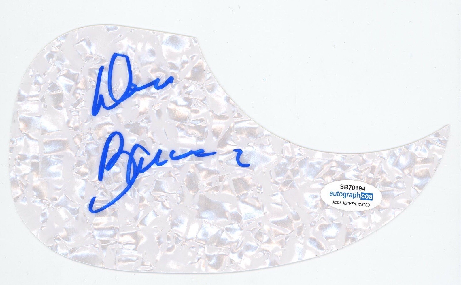 DON BARNES 38 SPECIAL SIGNED AUTOGRAPH ACOUSTIC GUITAR PICKGUARD ACOA ...