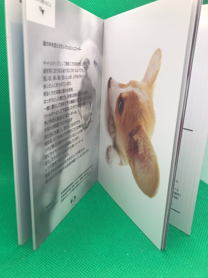 Welsh Corgi THE DOG artist 6in photo book with post cards Japanese | eBay