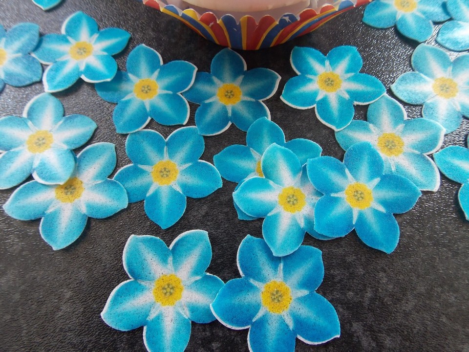 24 PRECUT Edible Blue forget me not Flowers wafer paper cake/cupcake ...