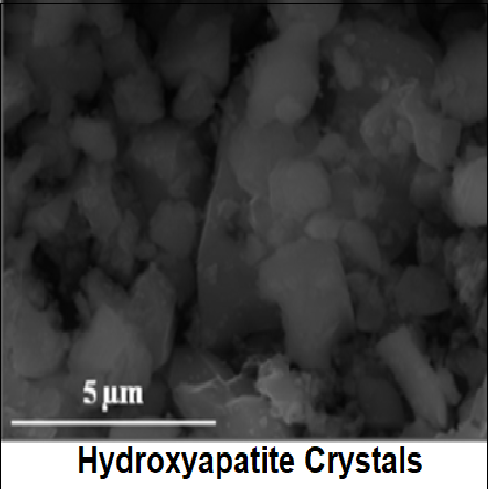 15 Grams. 99.9% Pure Ultra-Fine Hydroxyapatite Powder. Remineralizing ...