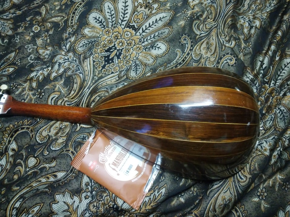 Antique Ditson "The Conquest Mandolin" | eBay