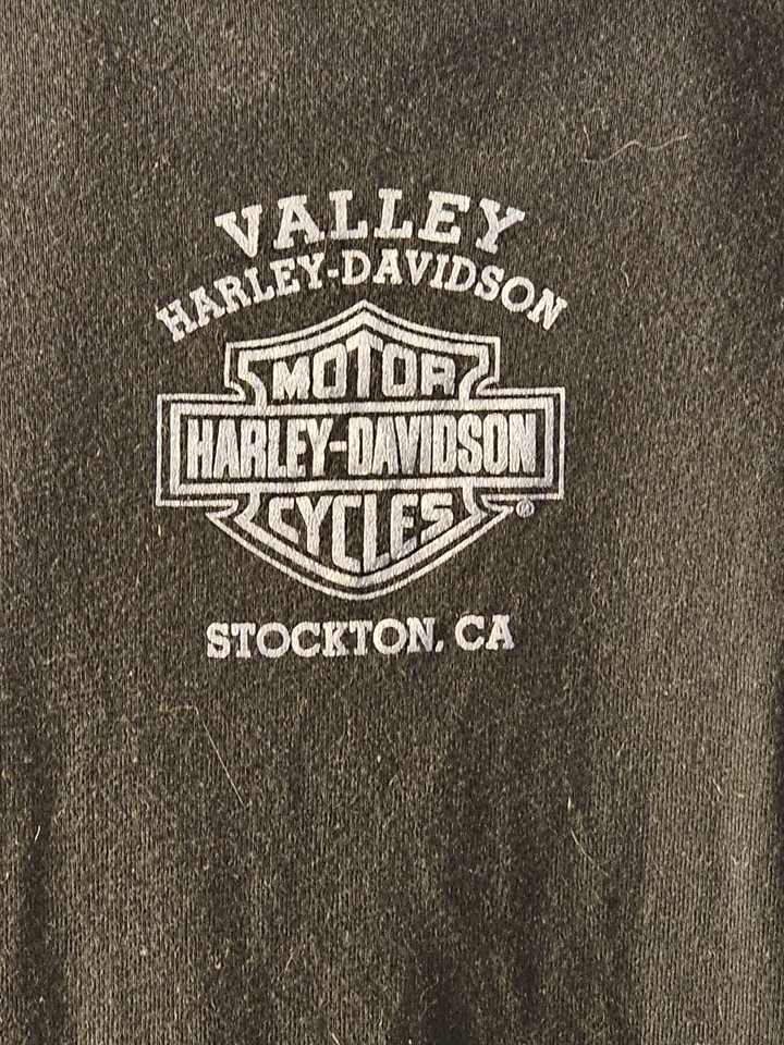 Harley-Davidson Short Sleeve Feel The Thunder Blue Skull Graphics Black ...