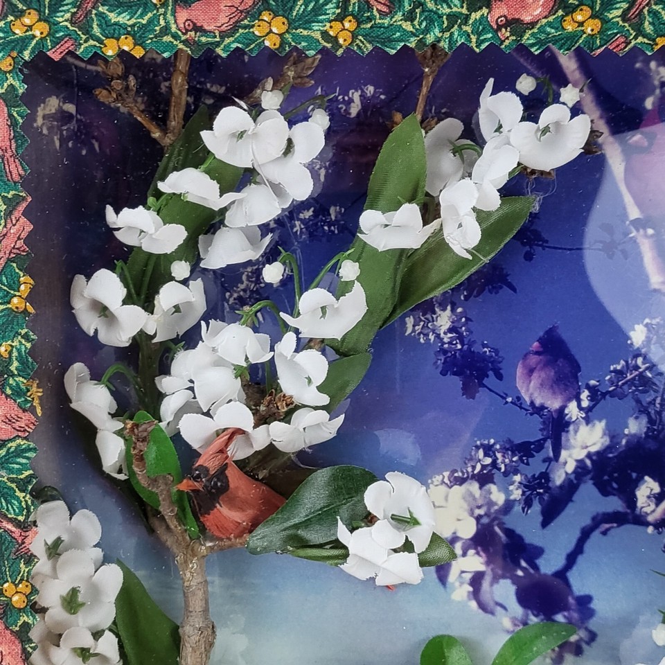 CARDINALS-BIRDS IN A WOODLAND SCENE SHADOW BOX 9 1/2" X 11 3/4" FRAME ...