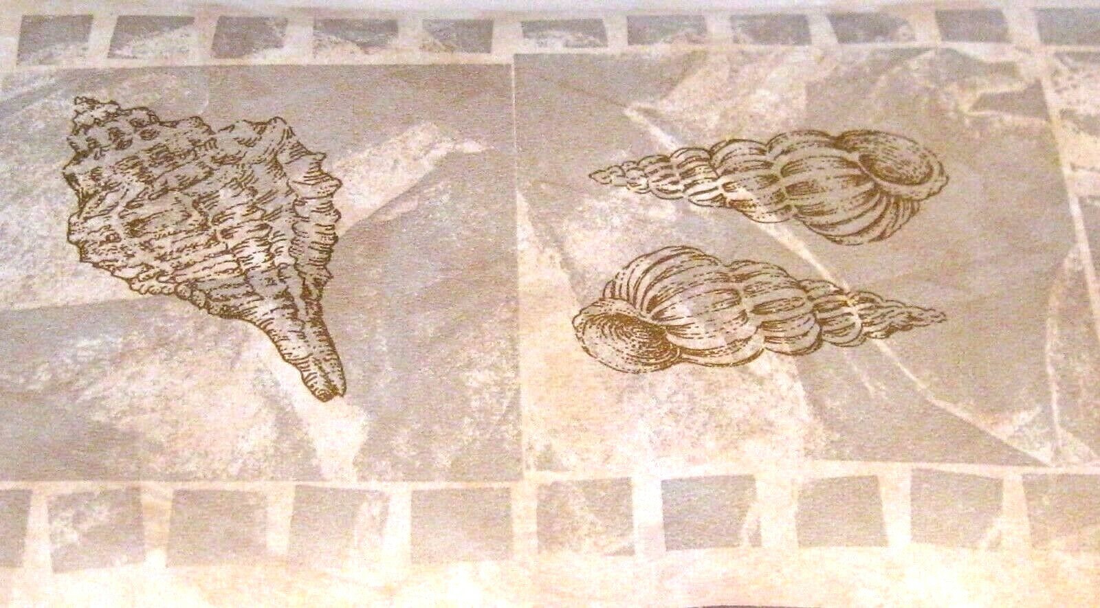 Wallpaper Border Beach Gold Conch Shell Gray Beige Wall Conch Shells ...