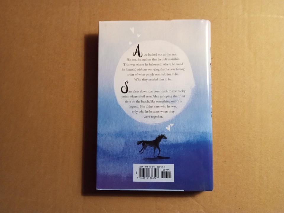 One Silver Summer by Rachel Hickman (2016, Hardcover) 9780545808927| eBay