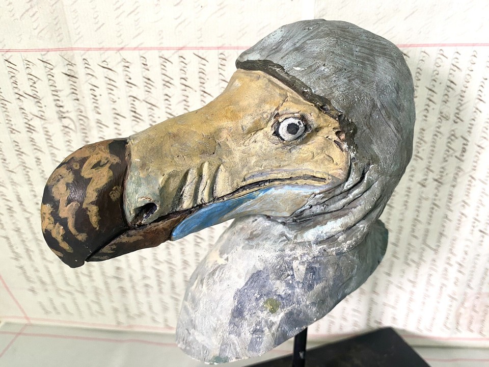 Unique Hand-Painted Cast Plaster Dodo Bird Head Sculpture | eBay