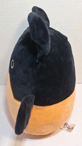 RARE 2020 Squishmallows Emily the Bat in Pumpkin Halloween 8" Plush ...