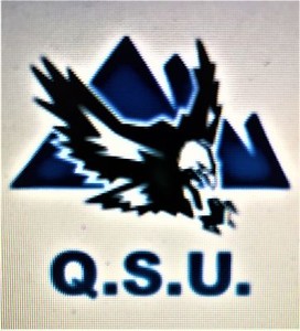 Q.S.U. Quality Services UnLtd | eBay Stores