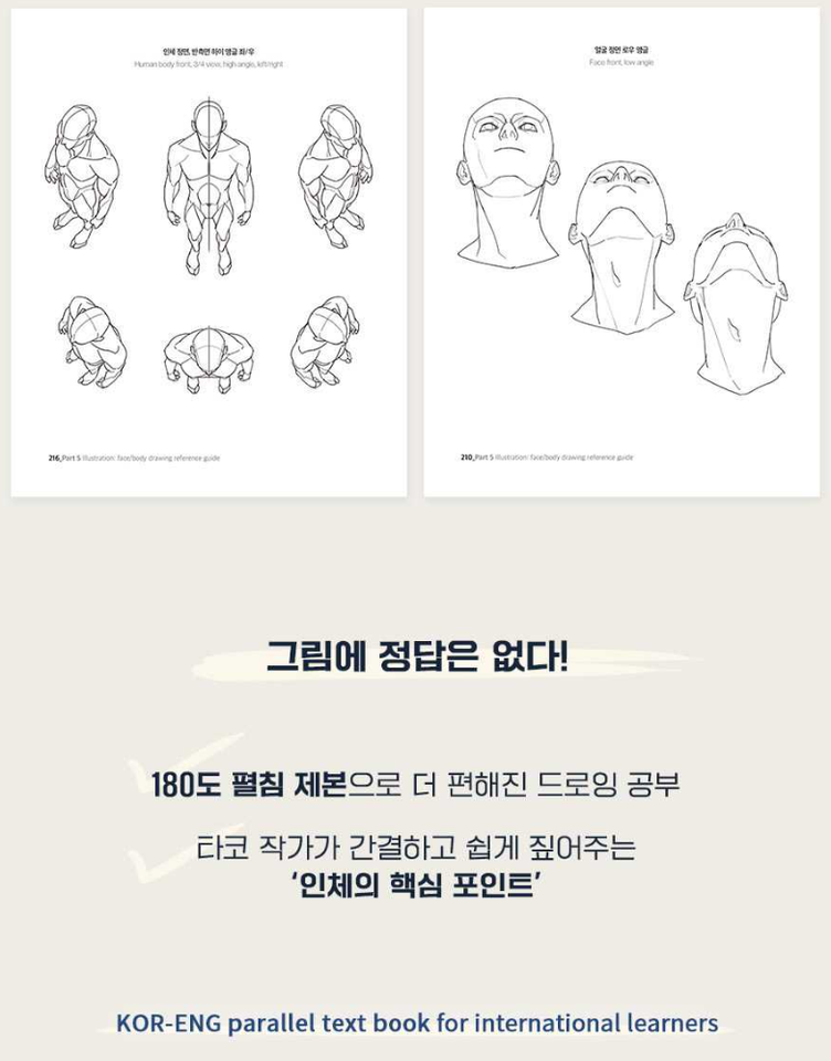 Point Character Drawing by TACO Lezhin Comics Human Body Drawing Guide ...