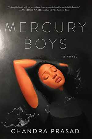 Mercury Boys - Hardcover, by Prasad Chandra - Good 9781641292658 | eBay