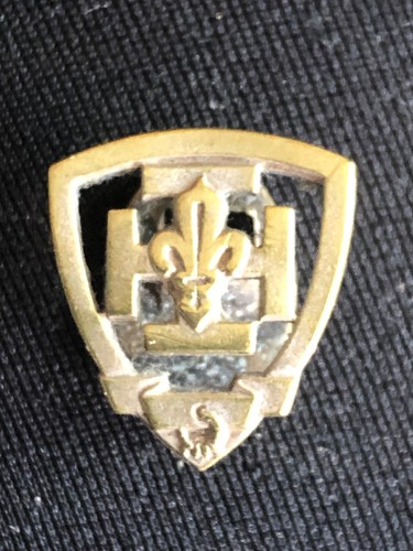 Scoutisme : ancien insigne scout des scouts de France - La hutte ...