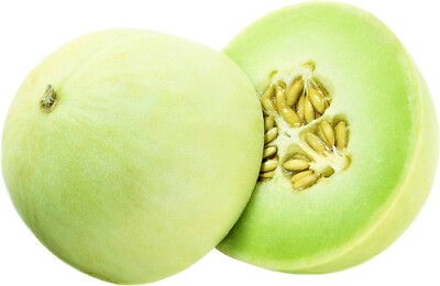 Honeydew Green Flesh Melon Seeds 35 SEEDS NON-GMO --BUY 4 ITEMS FREE ...