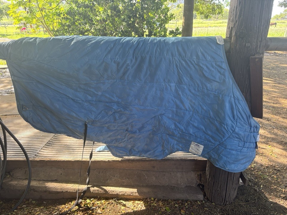 Weatherbeeta Mid Weight Stable Blanket Size 75” | eBay