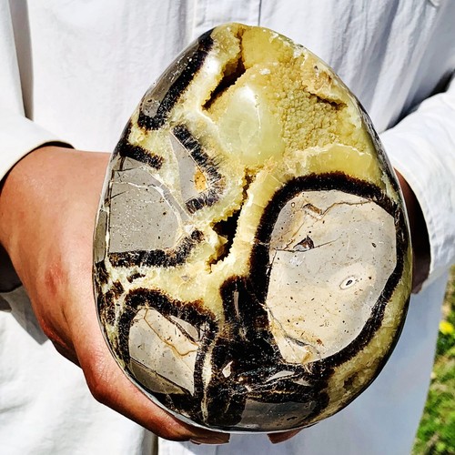 5.23LB Natural Turtle Back Stone Dragon Crystal Cave Crack Gem Healing ...