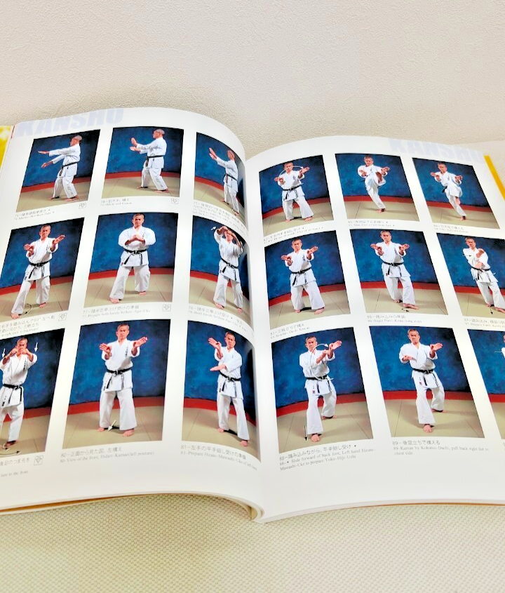 Okinawa Uechi-ryu Karate do Kata Illustrated Book martial arts from ...