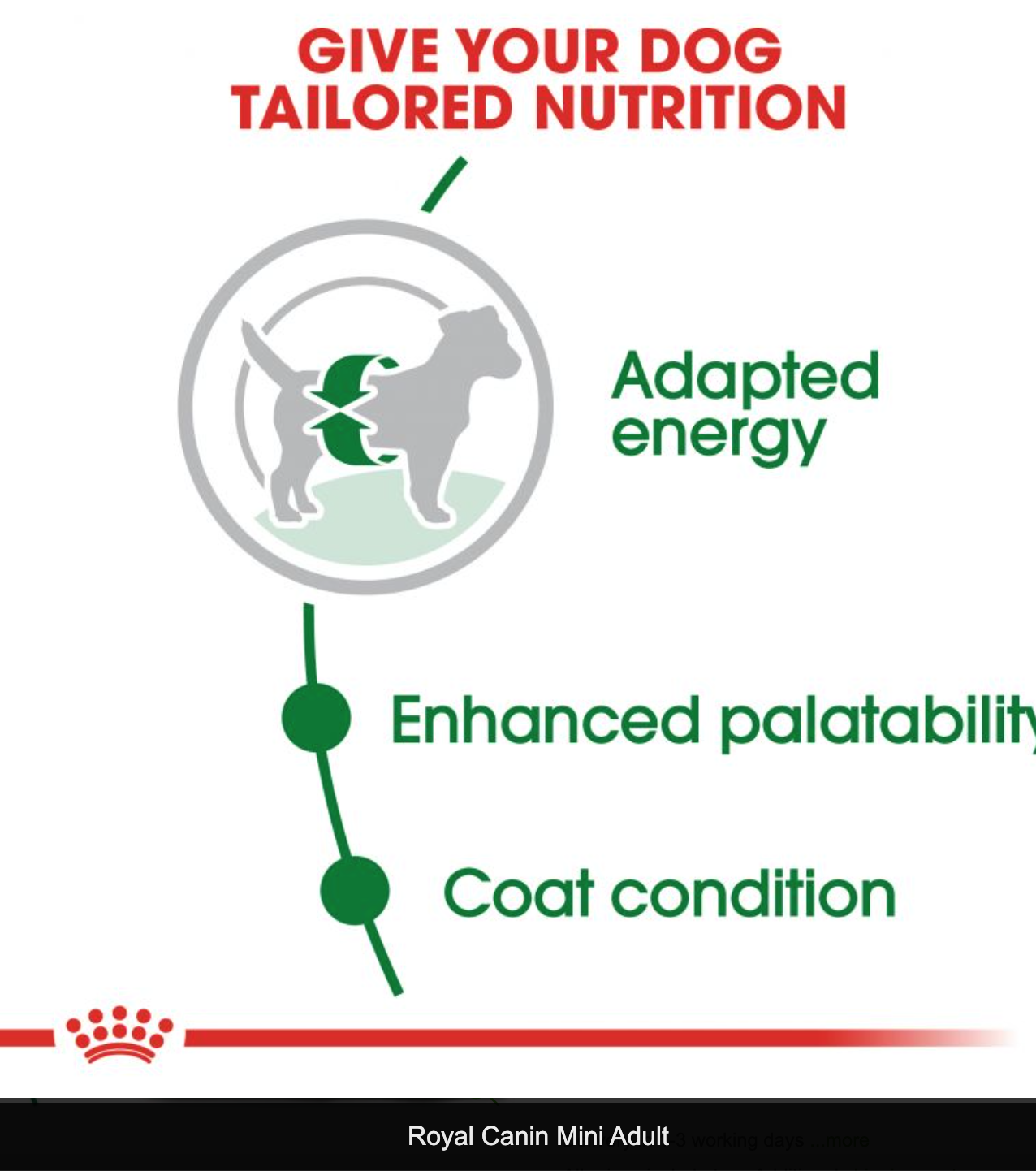 Royal Canin Mini Adult Dog Food for Small and Miniature Breed Dogs 4kg ...