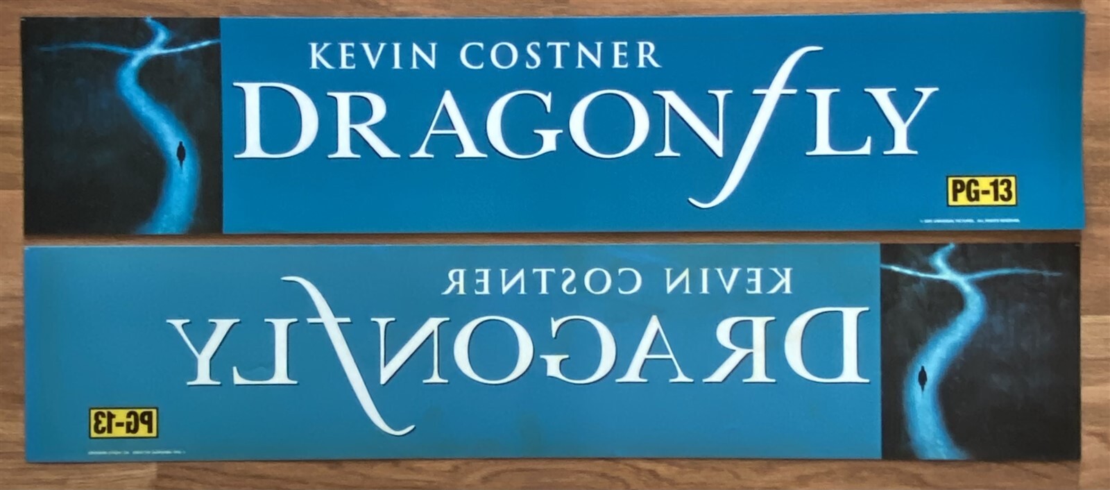 📽 Dragonfly (2001) - Kevin Costner - Double-Sided - Movie Theater Mylar ...
