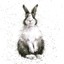 Domestic Rabbit Greeting Card - Wrendale Designs Country Set Hop It | eBay