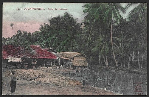 Indo China vintage color postcard Cochinchine Coin De Brouse | eBay