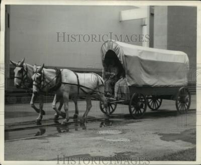 Press Photo Flushing LI Team of mules pull covered wagon - nera12519 | eBay