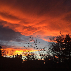 Great Lake State Vintage Picker | eBay Stores