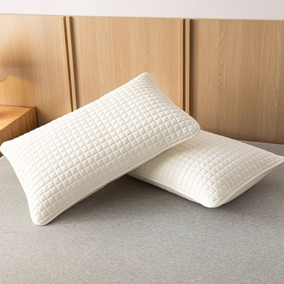 2Pcs Waterproof Pillow Covers Moisture Sweat Proof Pillow Case Pillow ...
