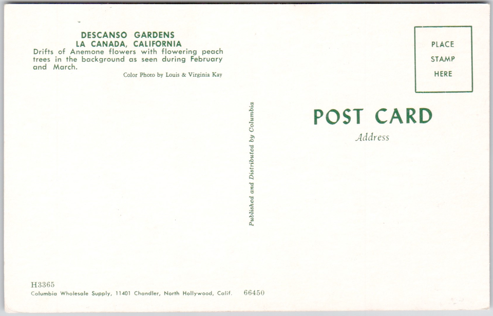 La Canada California Decanso Gardens Anemone Flowers Peach Tree Vintage ...