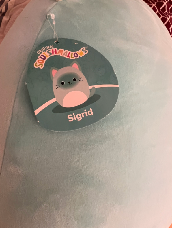 NEW Squishmallow 16" Sigrid the Cat | eBay