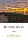 The House of Straw 9781848613249| eBay