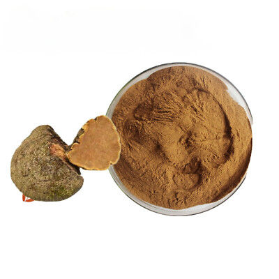 500g Phellinus Linteus Extract 20:1 Powder Meshimakobu Mushroom Sang ...