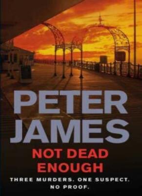 Not Dead Enough Spl By James Peter | eBay