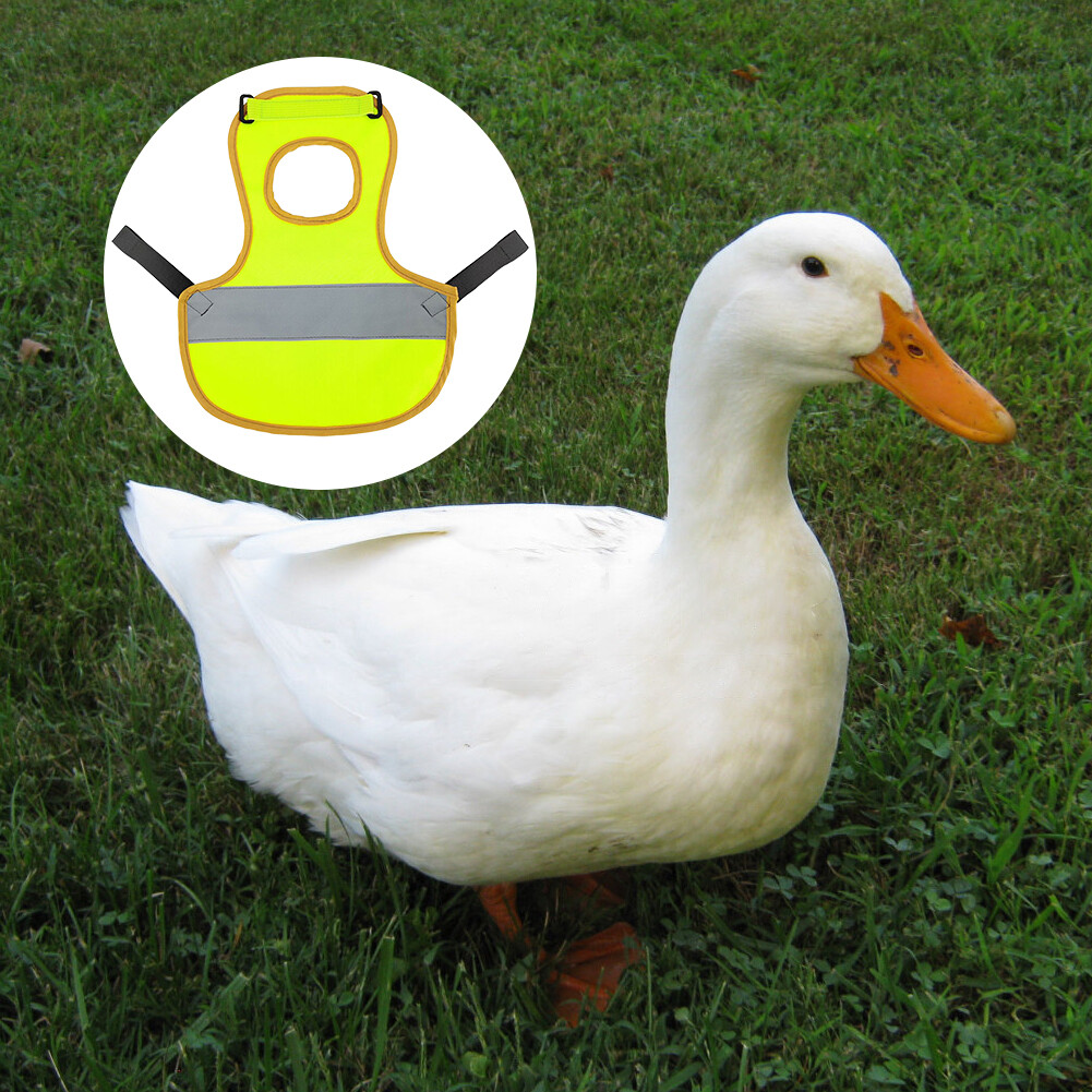 3pcs Waterproof Reflective Vest Breathable For Poultry Feather ...