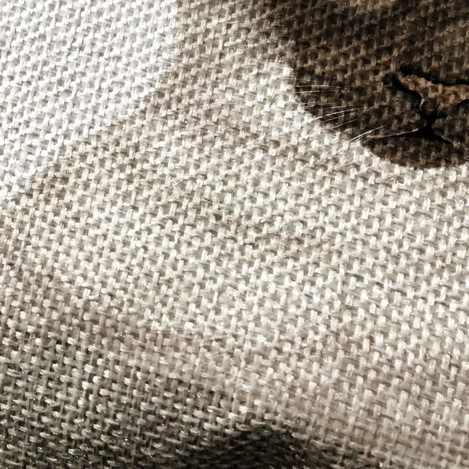 Cat Polyester Linen Pillow Case Sofa Waist Throw Cushion Cover w ...