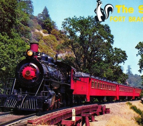 California Western 45 Super Skunk Locomotive Train Ft. Bragg Vintage ...