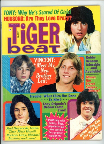 July 1975 Tiger Beat Mark Hamill Freddie Prinze Michael Landon Hudson ...