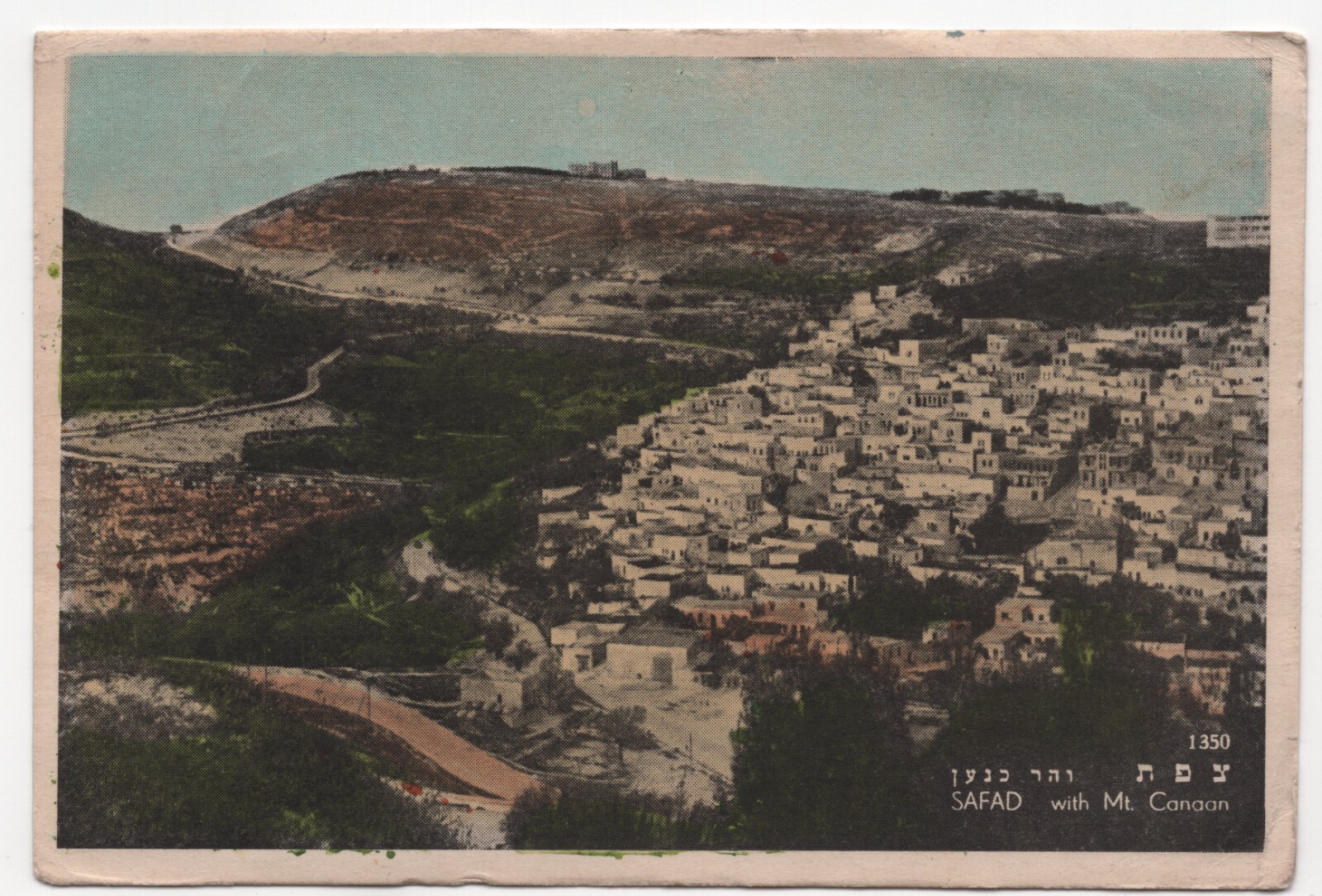 VINTAGE JUDAICA POSTCARD SAFAT with mt. CANAAN 1350 PALPHOT 1951 ISRAEL ...