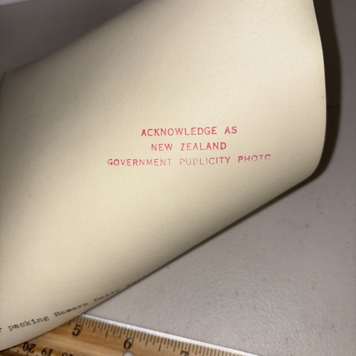 Original VTG New Zealand Government Publicity Photo: Hawera Dairy ...