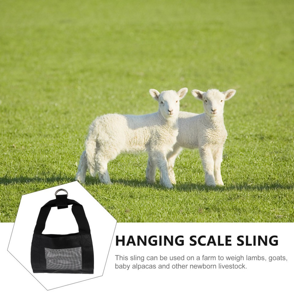 Small Animals Weighing Sling Nylon Calf Sling for Livestock Scale | eBay UK