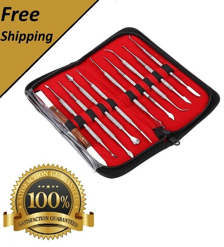 Professional 10Pc Set Dental Lab Wax Carving Tools Knife Set Surgical ...