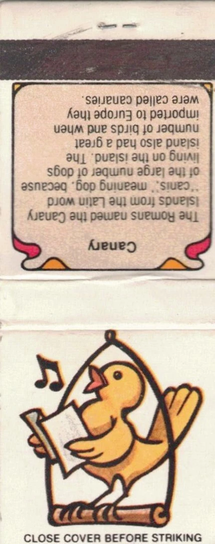 In Good Shape Meaning