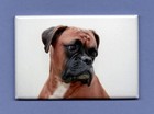 BOXER *2X3 FRIDGE MAGNET* DOG PET MAN'S BEST FRIEND K9 PUPPY EARS FLAT ...
