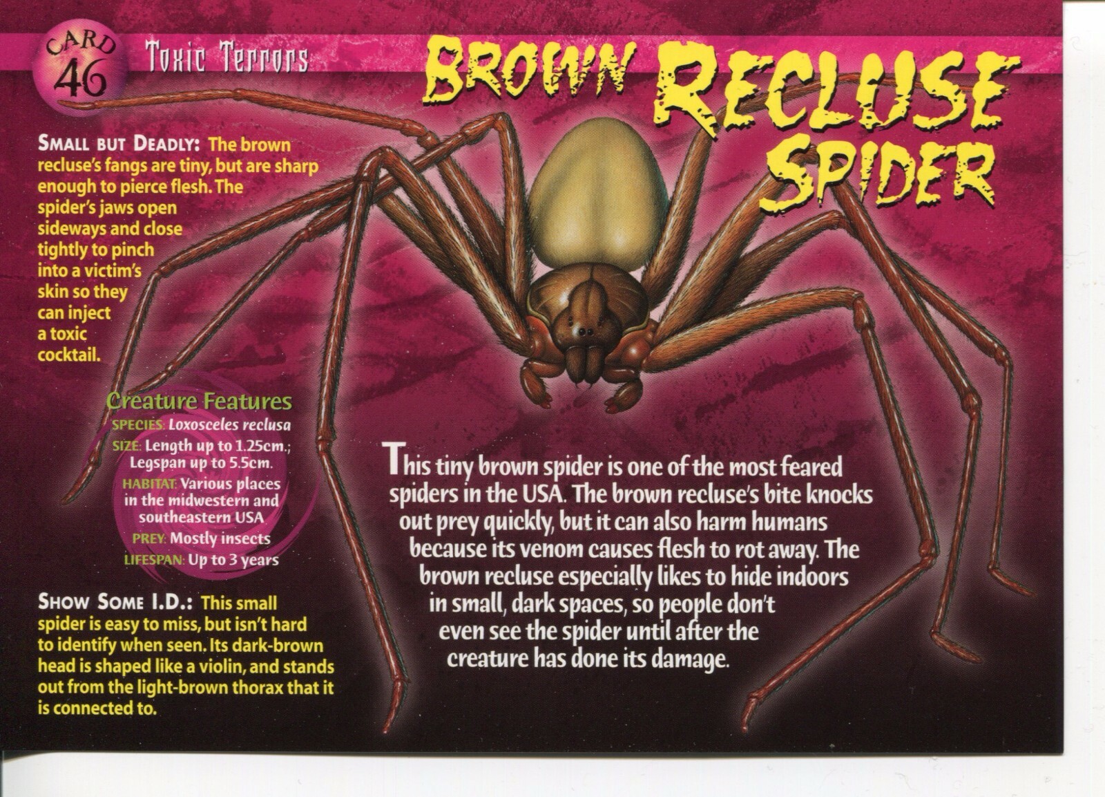 Weird N’ Wild Creatures Toxic Terrors Card 46 # Brown Recluse Spider ...