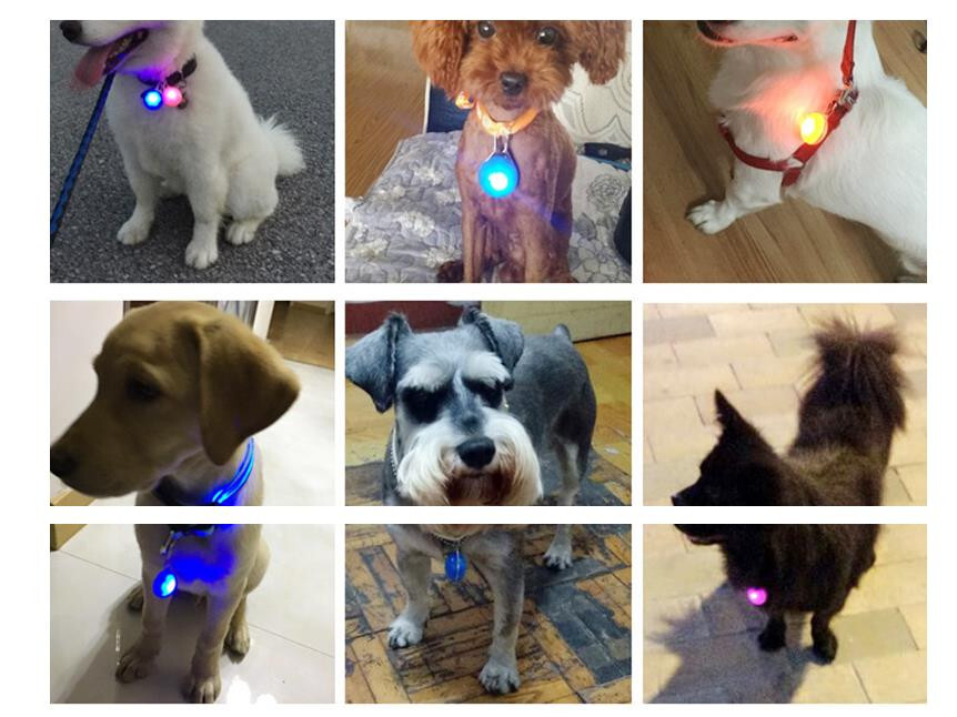 8Pcs Random Color LED Dog Collar Saftey Light for Pets Night Walking ...