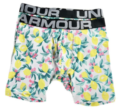 Under Armour Mens Tech HEATGEAR 6-inch 2 Pack Boxer Jock Shorts ...