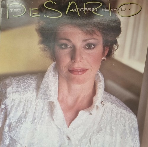 LP Teri Desario - Voices in the Wind (1985) Pop Dayspring Records DAY R ...
