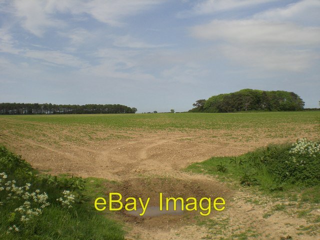 Photo 6x4 North east from Holgate Road east of Little Barwick Stanhoe ...