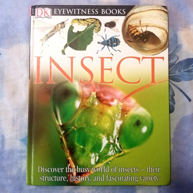 DK Eyewitness Bks.: Insect by Laurence Mound (2004, Hardcover) for sale ...